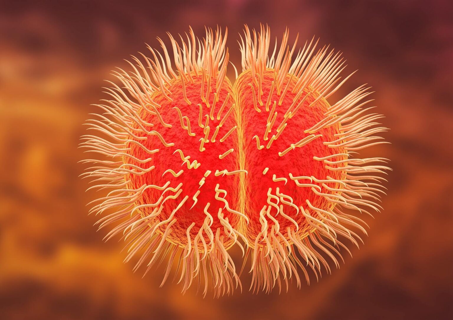 Focolaio di meningite nel Kent: emergenza sanitaria in Gran Bretagna e ...